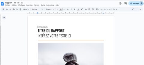 Google Docs → Définition & fonctionnement de l'outil de traitement de ...