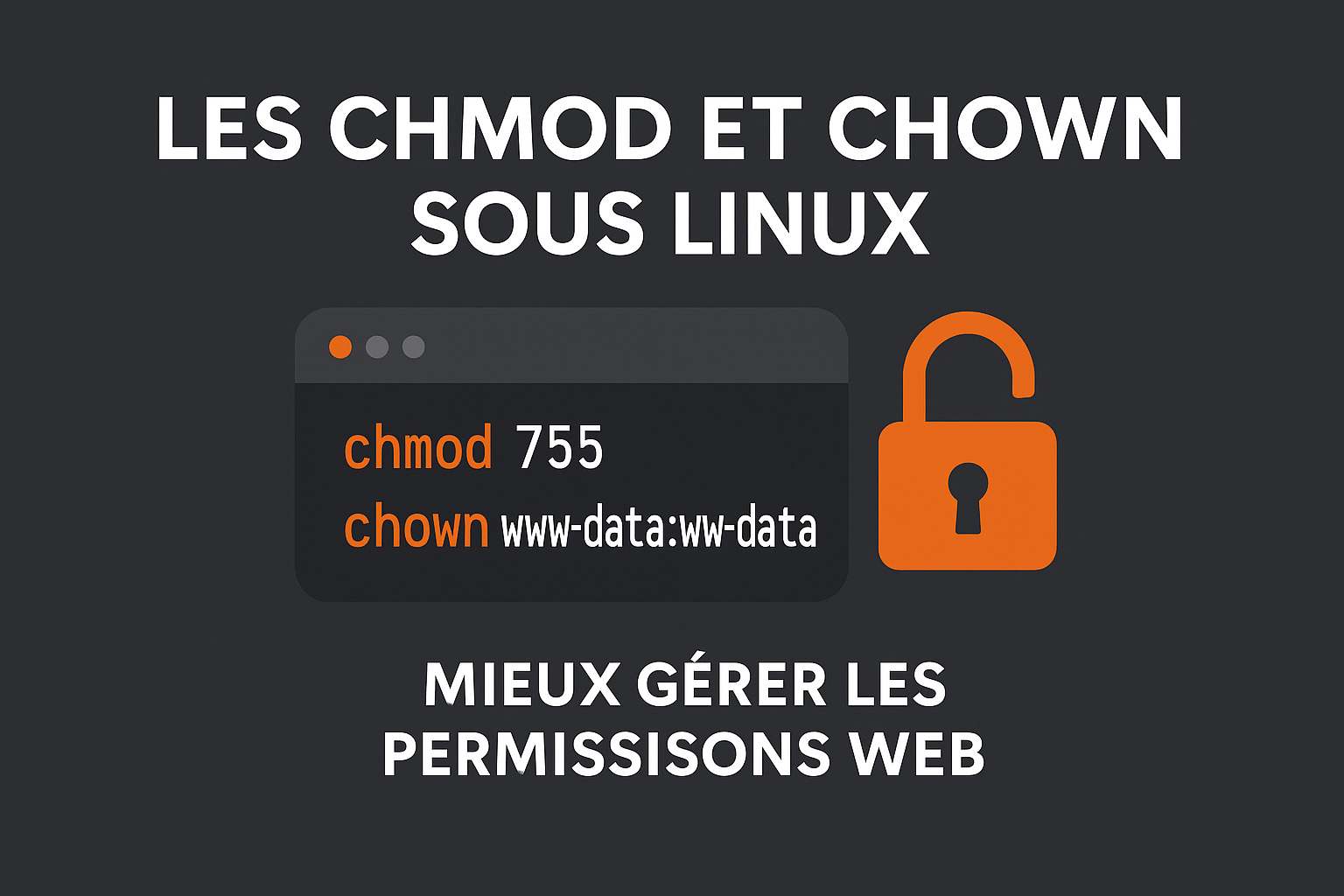 Chmod et Chown sous Linux → Les gérer pour un site Web | Facem Web